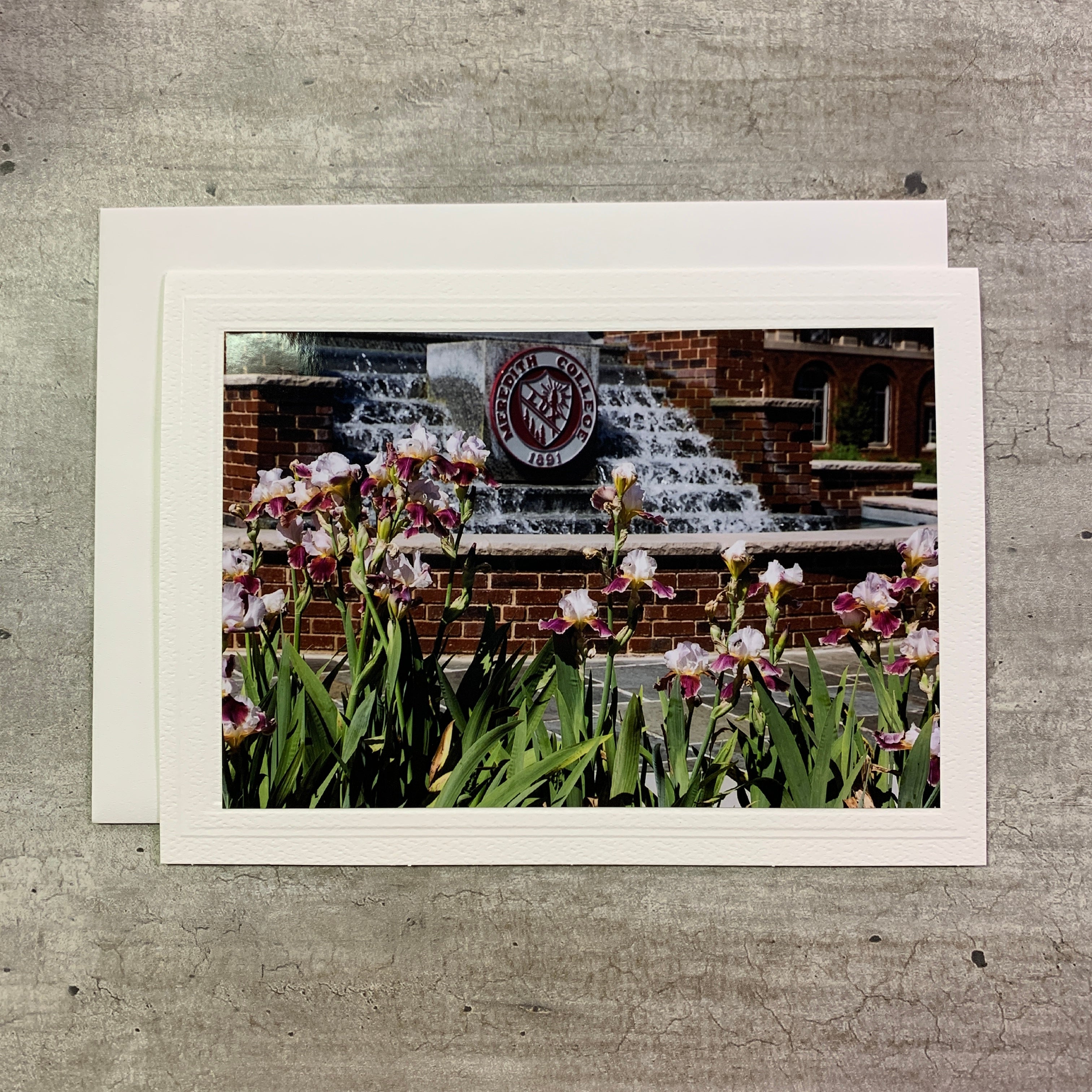 Meredith Photo Cards, Fountain with Meredith Irises (Horizontal), Cindy ...